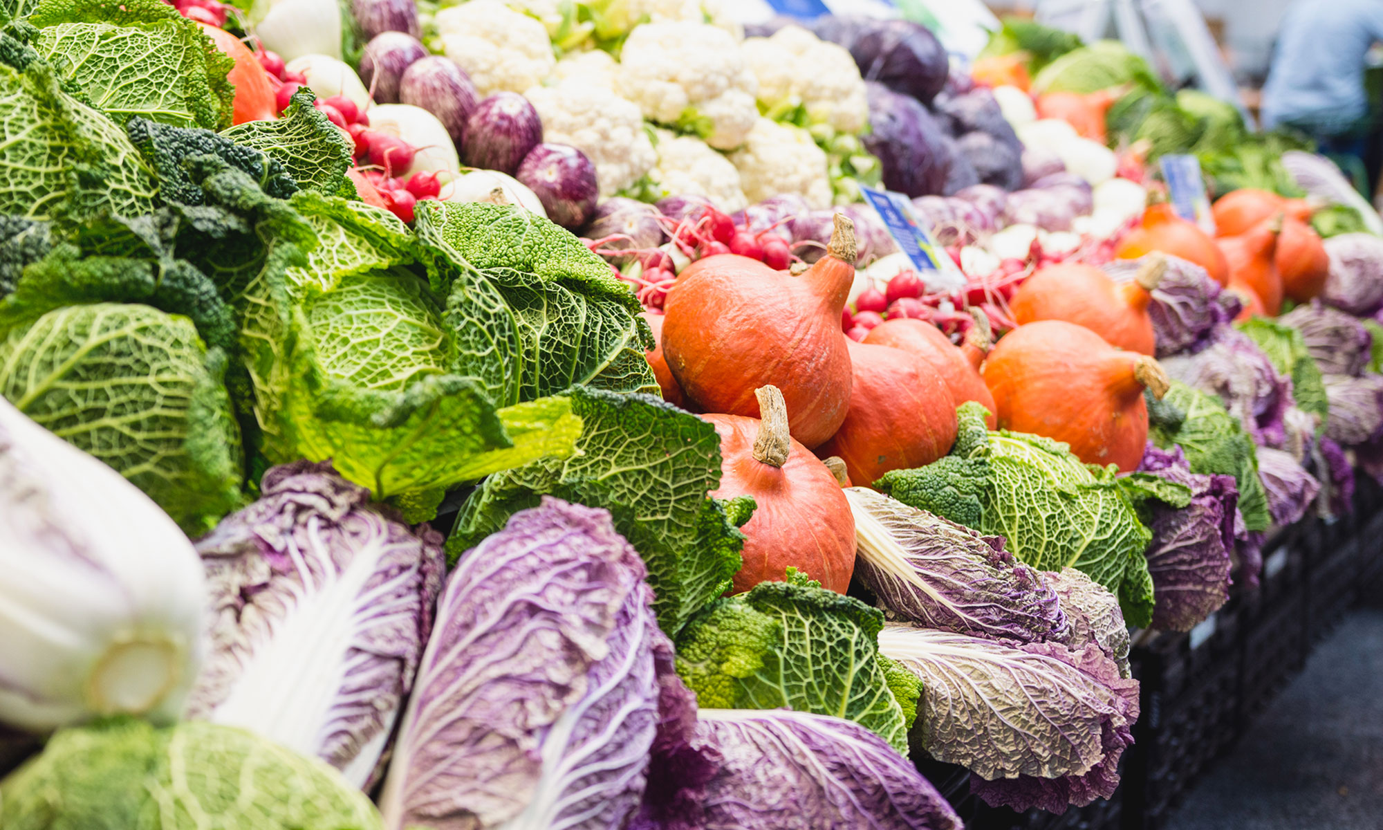 Dein Besuch auf der BioWest • BioMessen